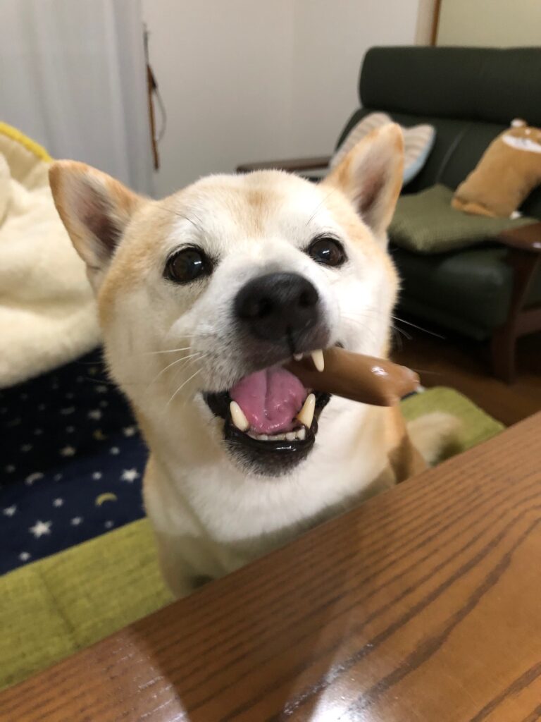 幸せな気持ちで、強い体はつくられる | 【PrimeKS／さかい企画】お客様の声